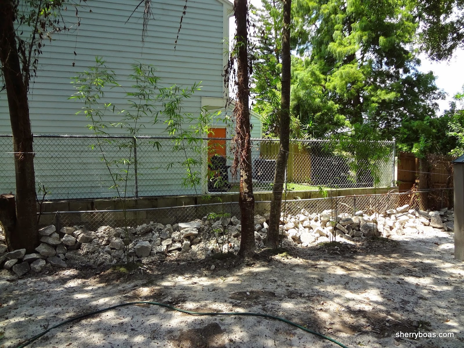 Beautiful Bamboo: Unsightly objects? Make them disappear behind a ...